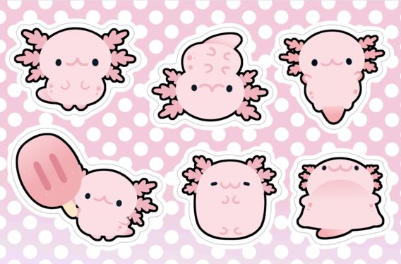 Axolotls – Mahoukarp