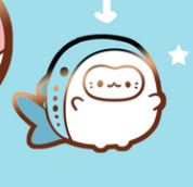 Whale cat shark – Mahoukarp